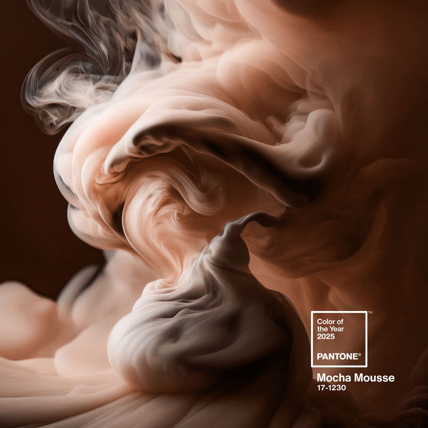 Цвет 2025 - Элегантный PANTONE 17-1230 Mocha Mousse